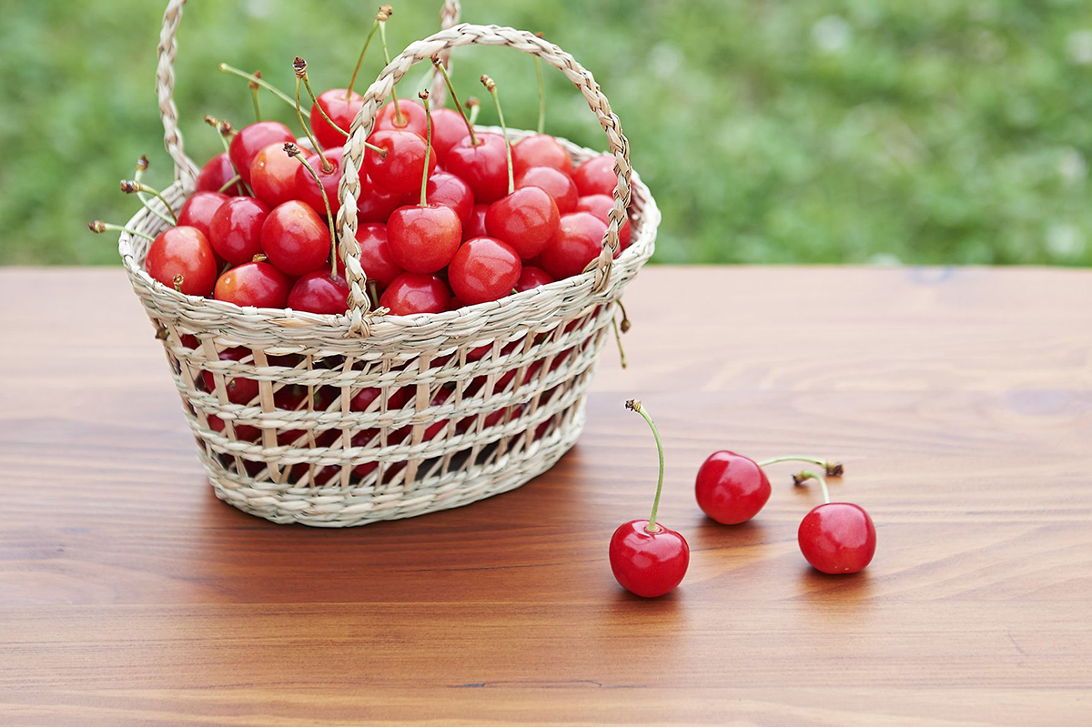 Cherries – fruits kingdom higashine